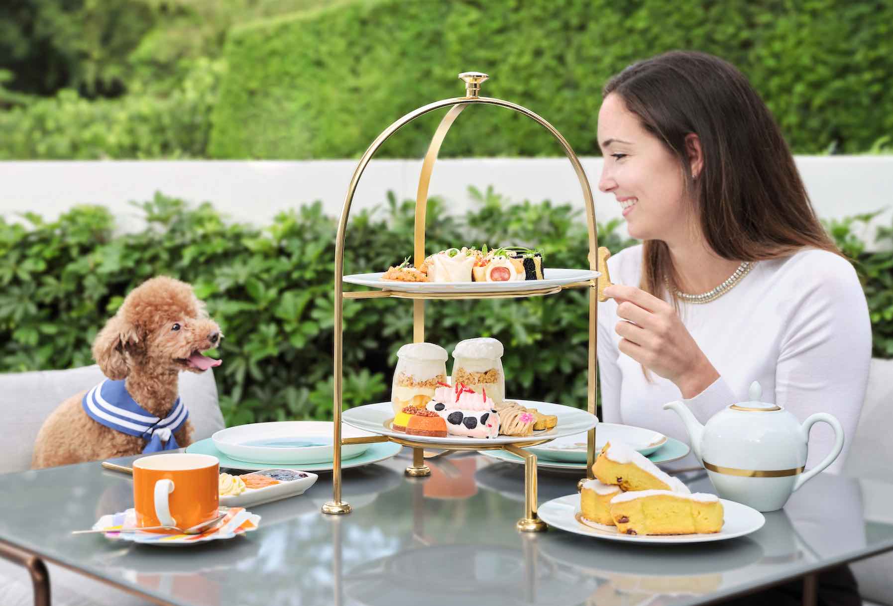 The Murray Paws For Tea - Hong Kong Pet-friendly Themed Afternoon Tea