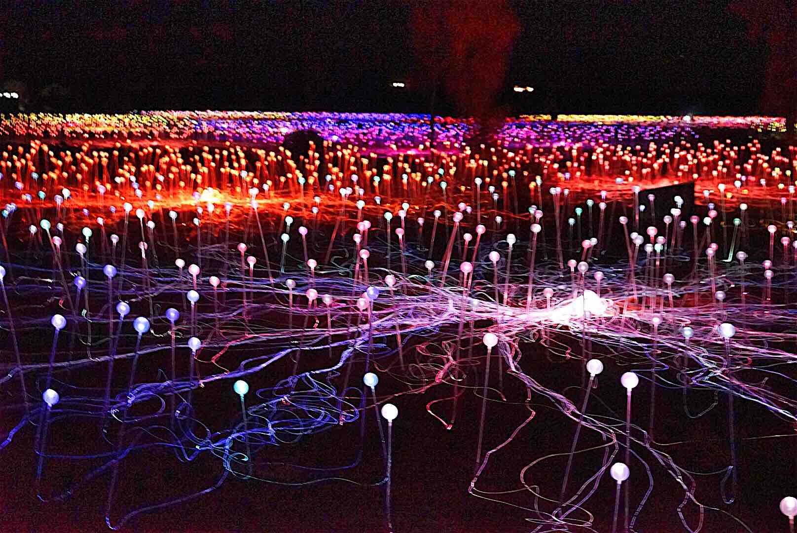 Field Of Light Uluru - Probably The Most Impressive Artificial Light Play