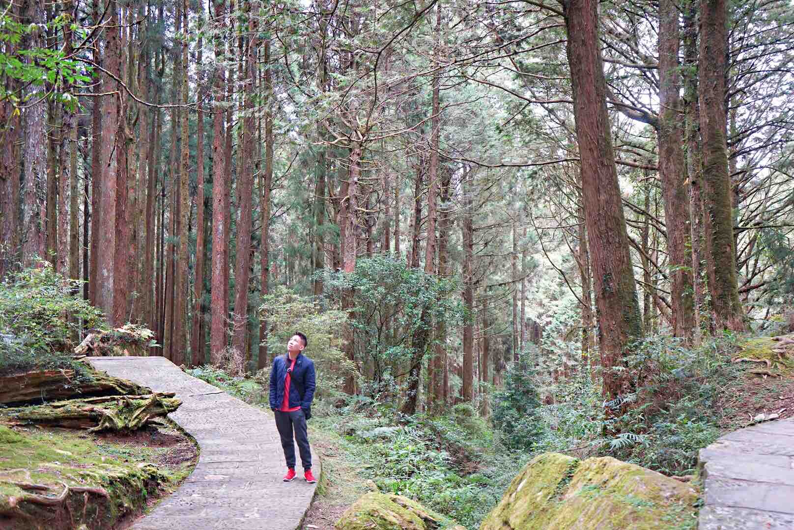 Taichung, Chiayi & Alishan Itinerary - Taiwan Highland & Cities Adventures