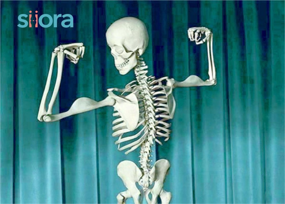 What Are The Different Ways To Optimize Bone Health?