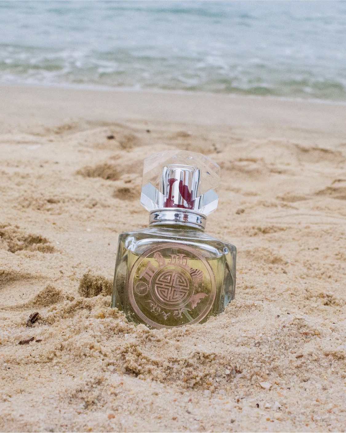 Scent Of Singapore Orchids: Unveiling Our Fragrant Floral Heritage