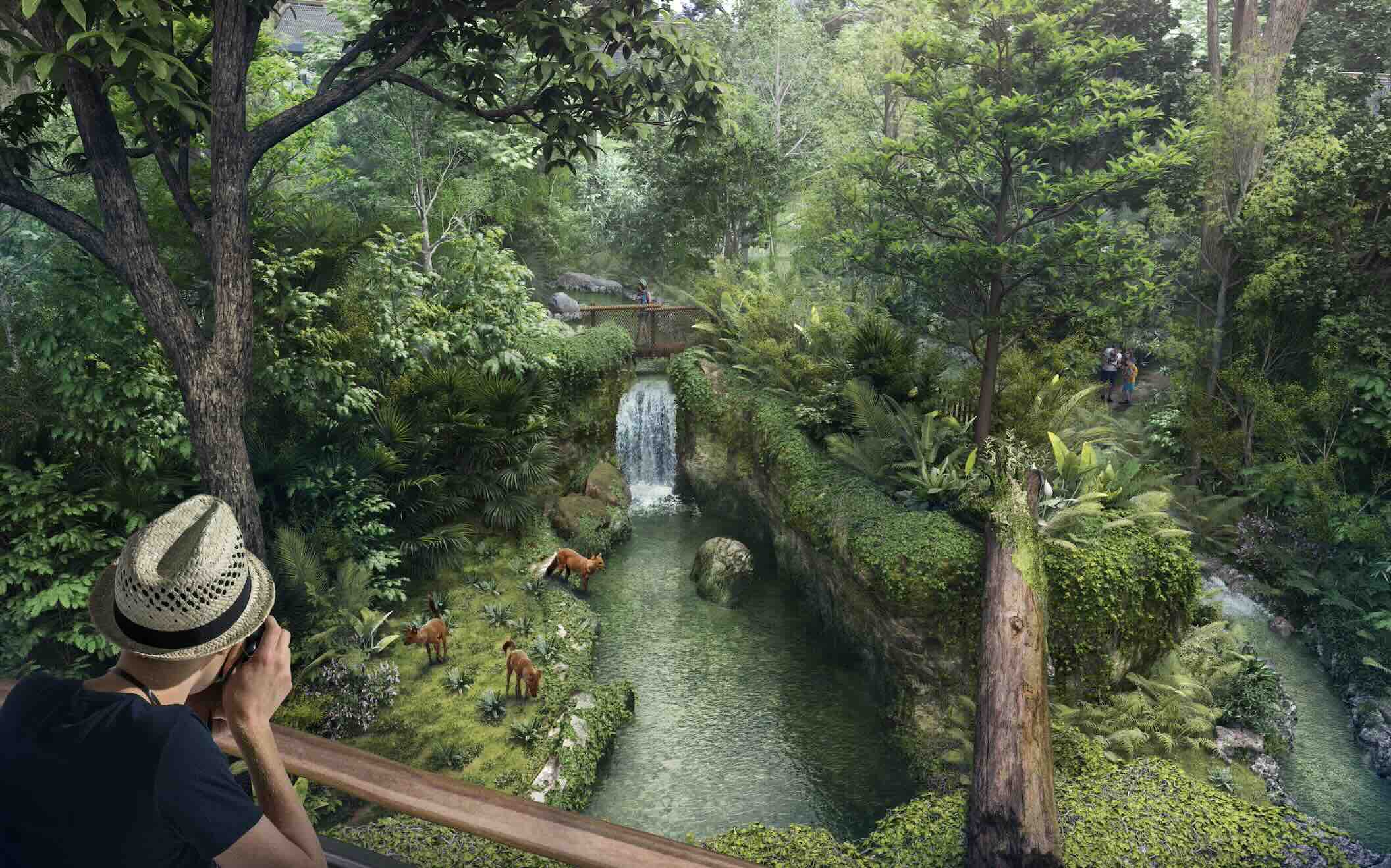 Discover Rainforest Wild Asia: Asia's First Adventure Nature Park